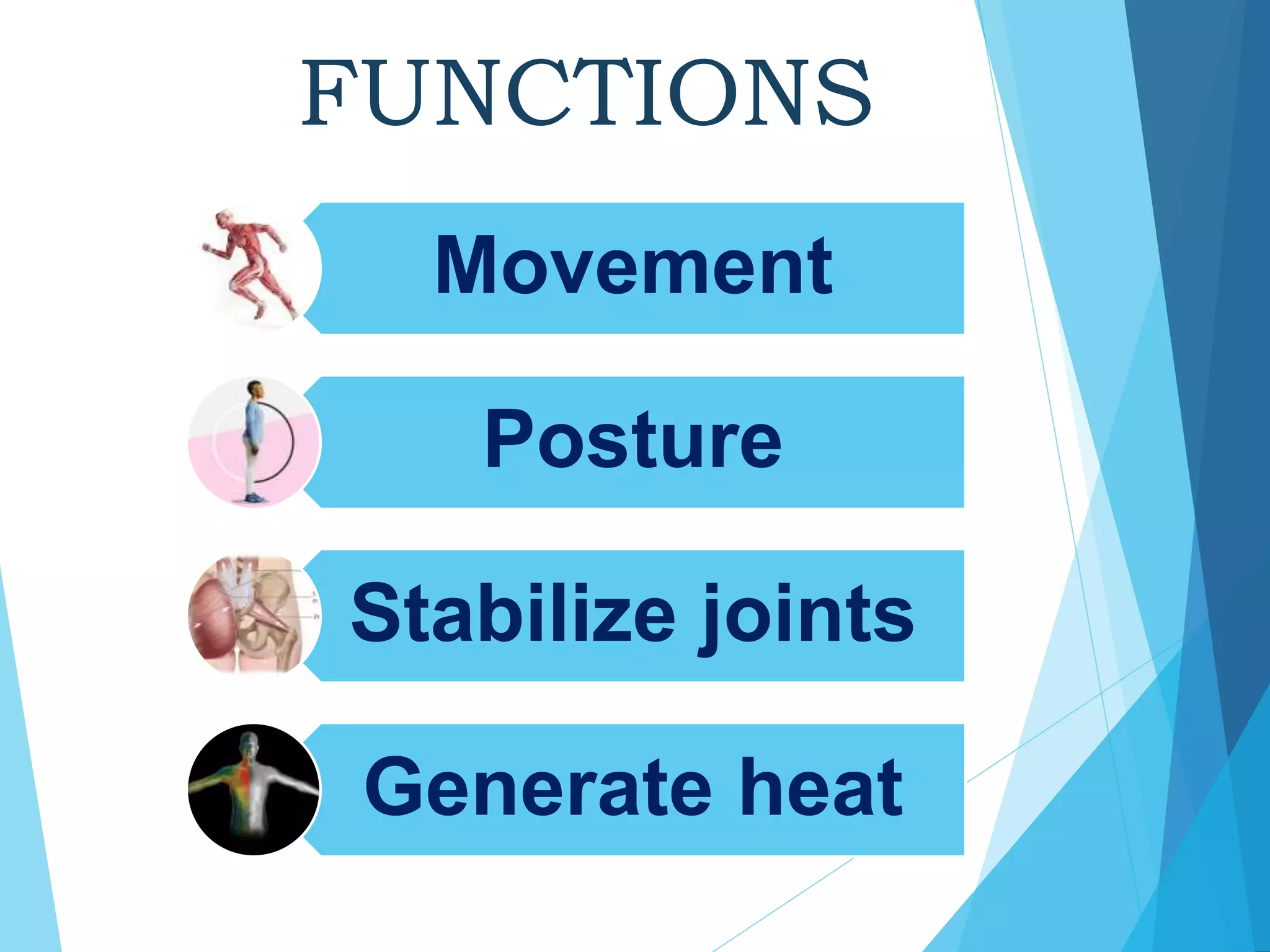 Musculoskeletal assessment | PPTX