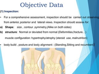 Musculoskeletal assessment | PPTX