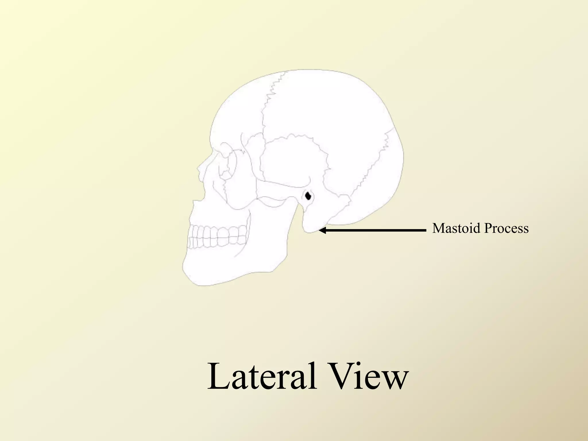 musculoskeletalassessment-151117235104-lva1-app6892.pdf