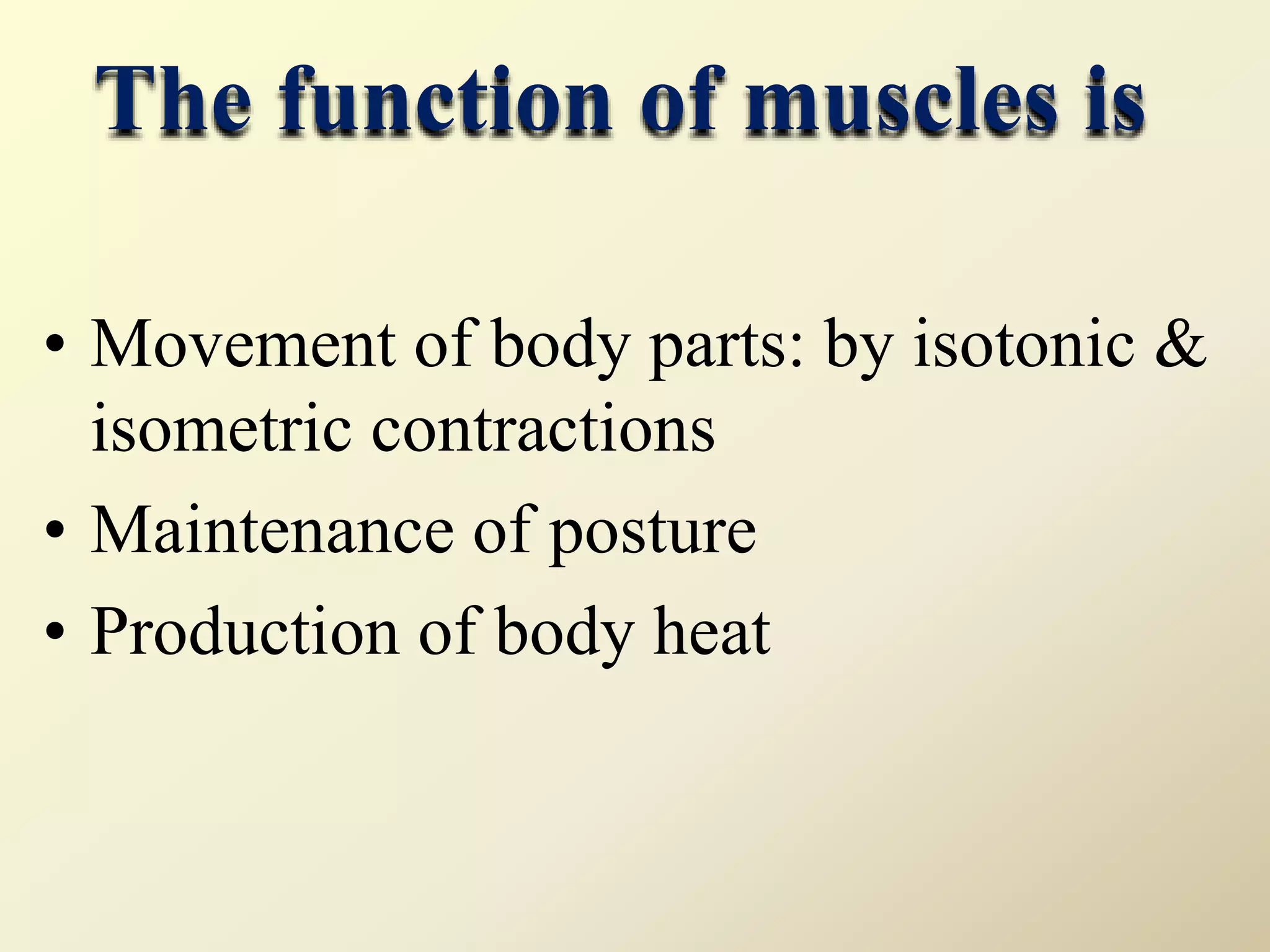 Musculoskeletal assessment | PPTX