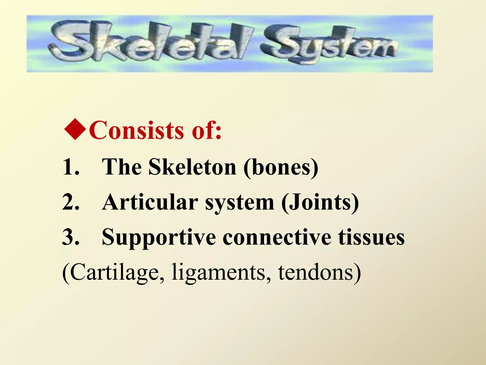 Musculoskeletal assessment | PPTX