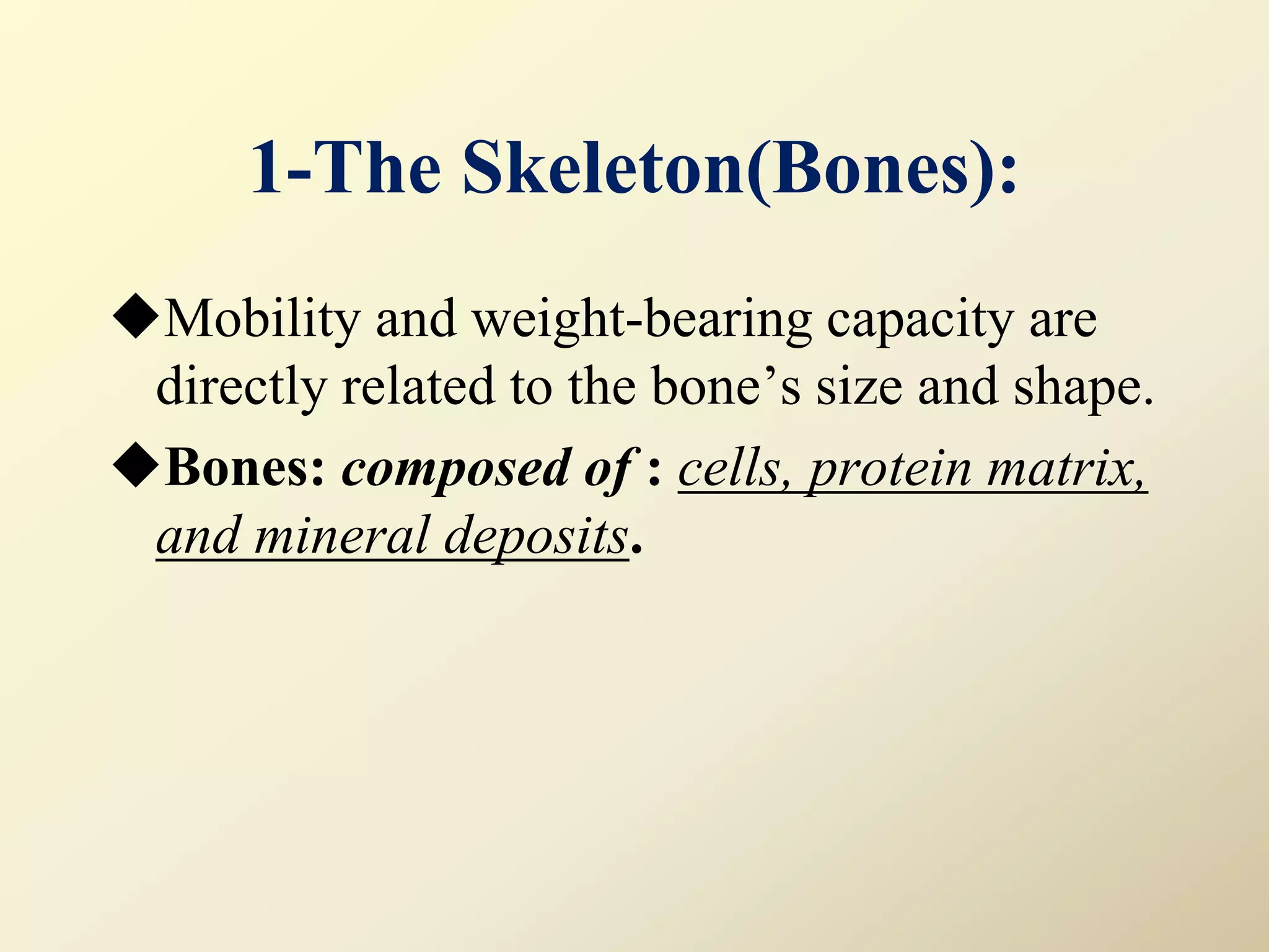 Musculoskeletal assessment | PPTX