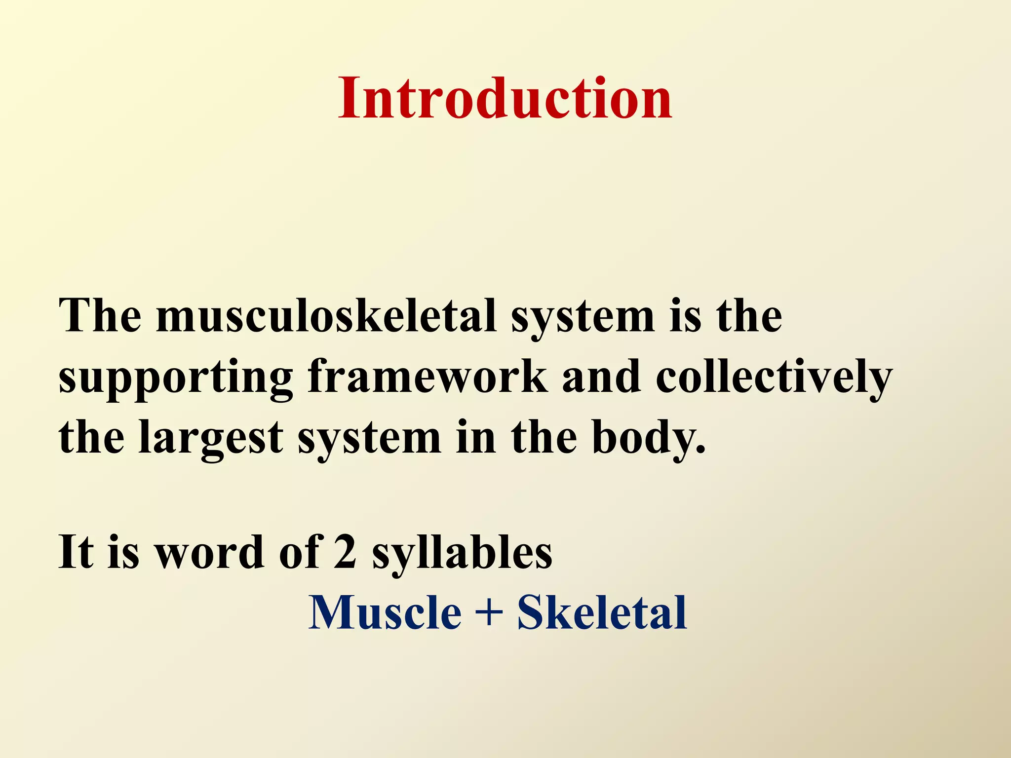 Musculoskeletal assessment | PPTX