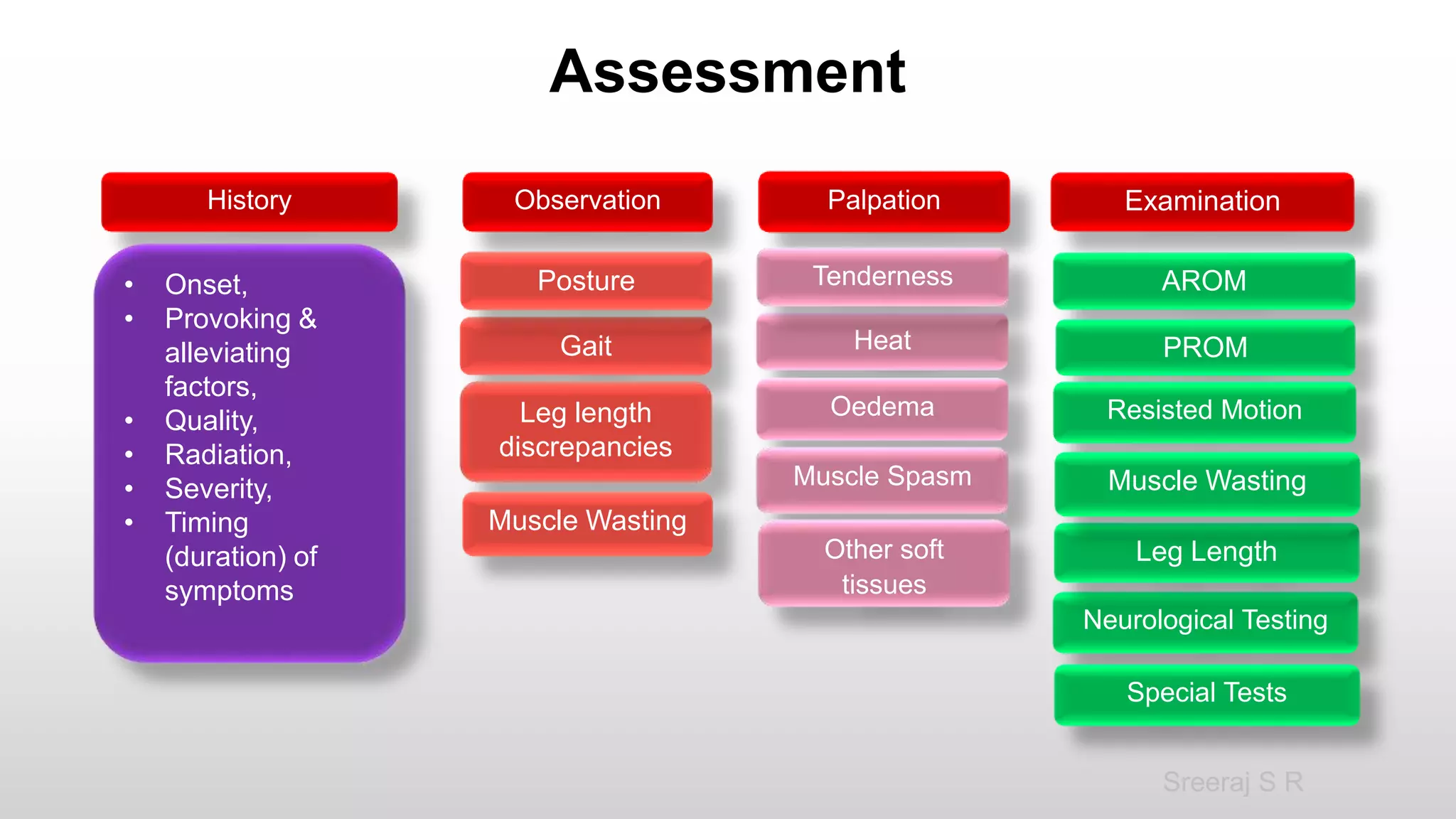 Musculoskeletal Assessment (Principles and Concepts for ...