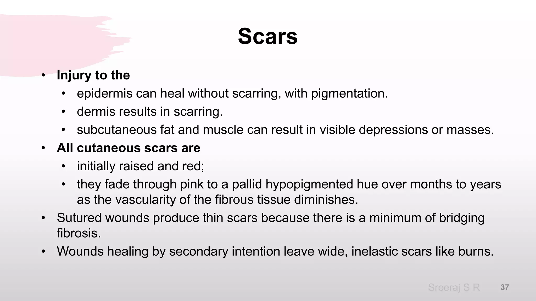 Musculoskeletal Assessment (Principles and Concepts for ...