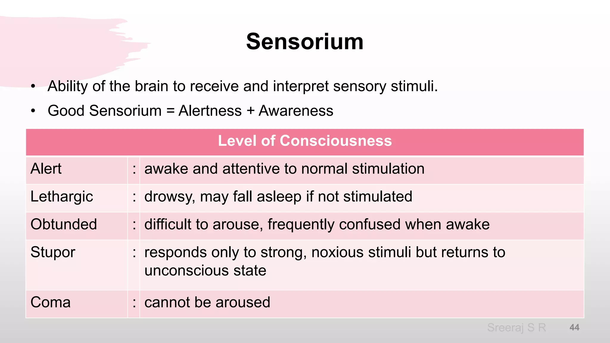 Musculoskeletal Assessment (Principles and Concepts for ...