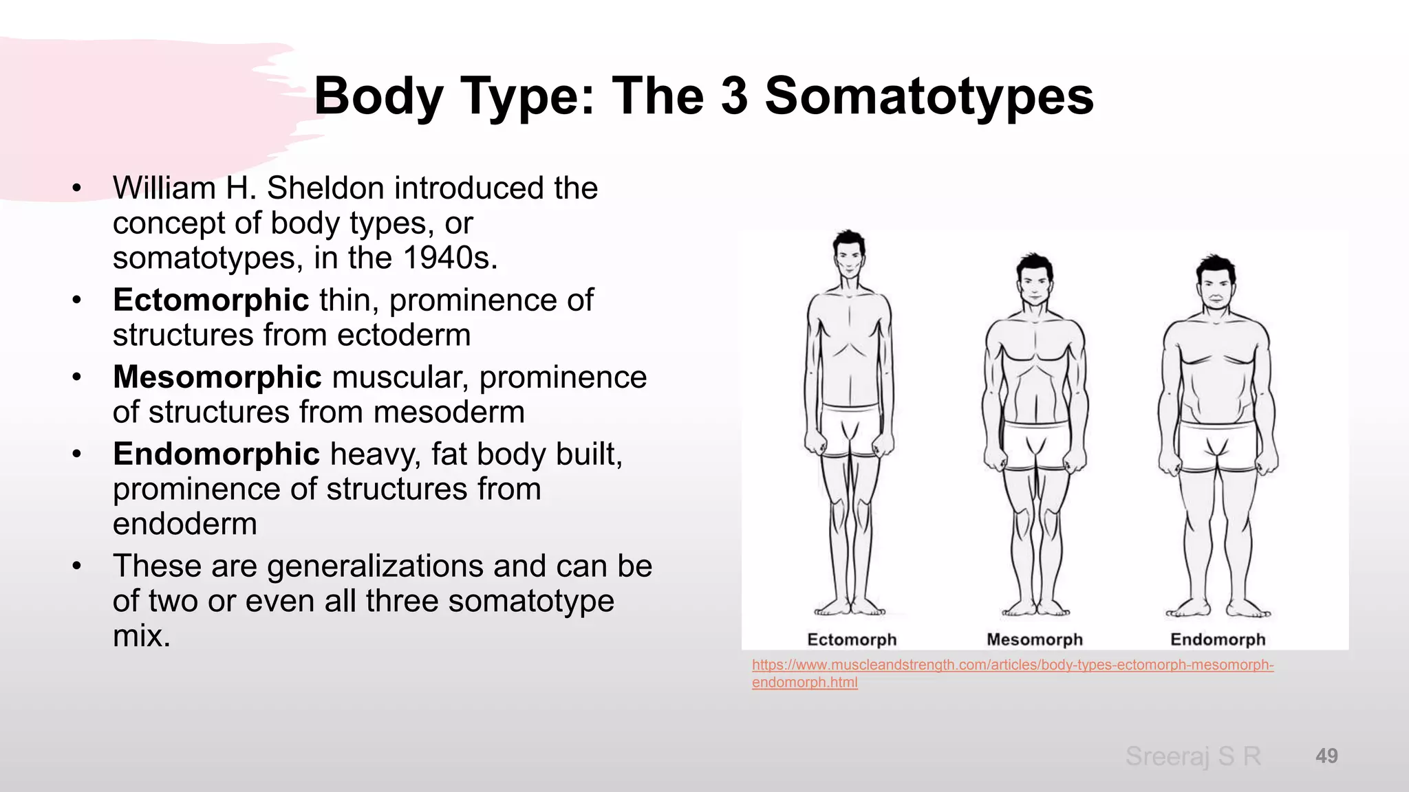 Musculoskeletal Assessment (Principles and Concepts for ...