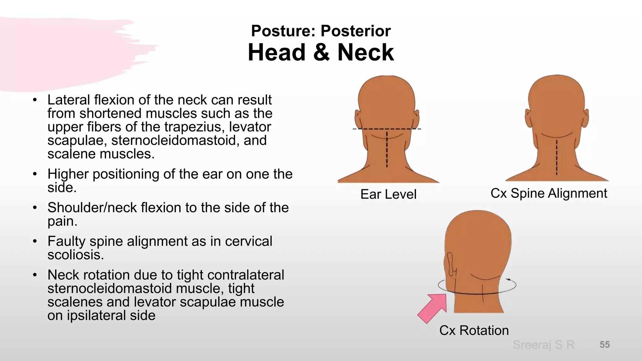 Musculoskeletal Assessment (Principles and Concepts for ...