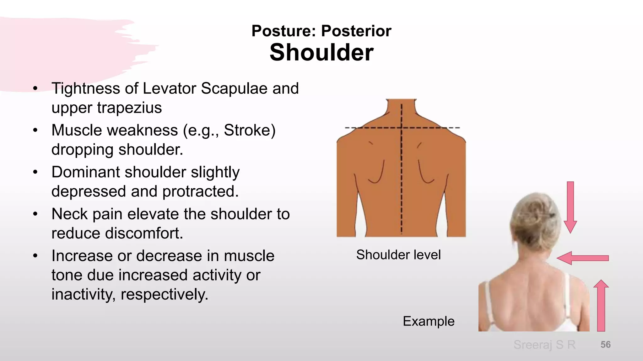 Musculoskeletal Assessment (Principles and Concepts for ...
