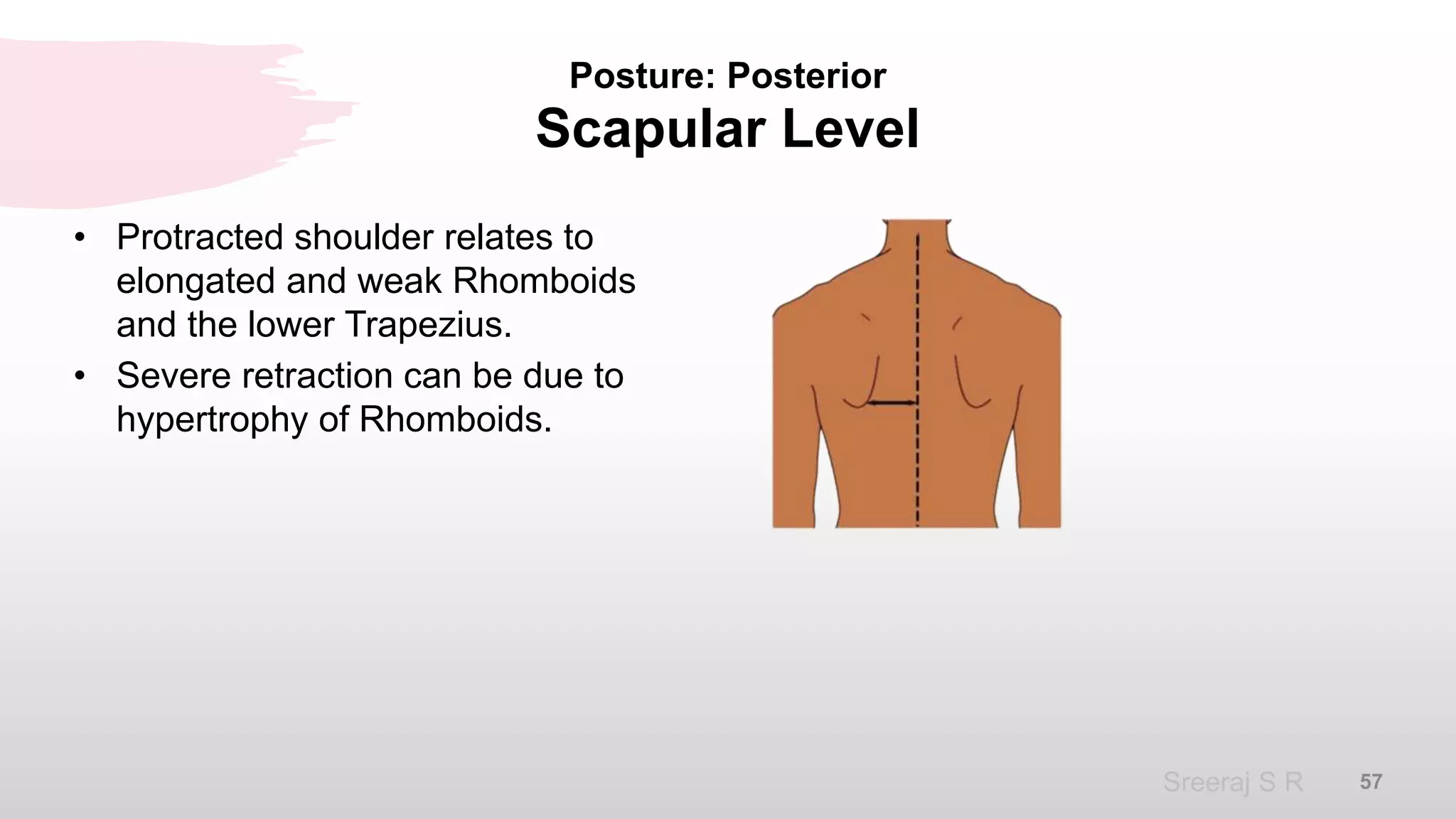 Musculoskeletal Assessment (Principles and Concepts for ...