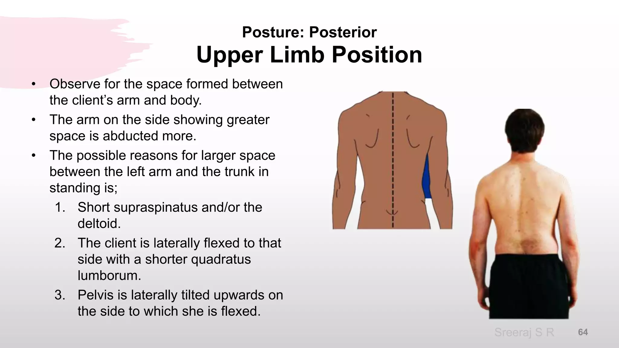 Musculoskeletal Assessment (Principles and Concepts for ...