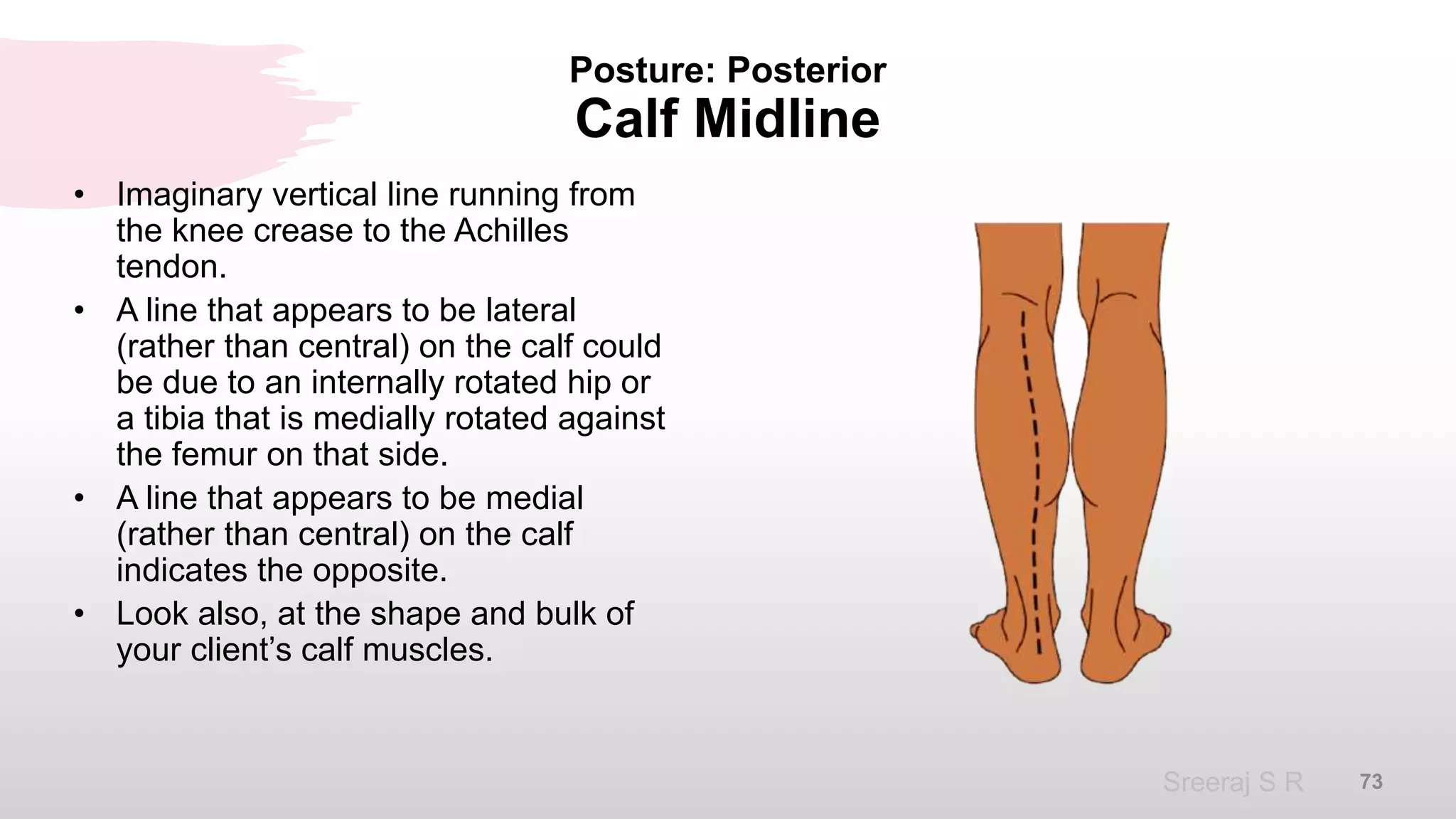 Musculoskeletal Assessment (Principles and Concepts for ...