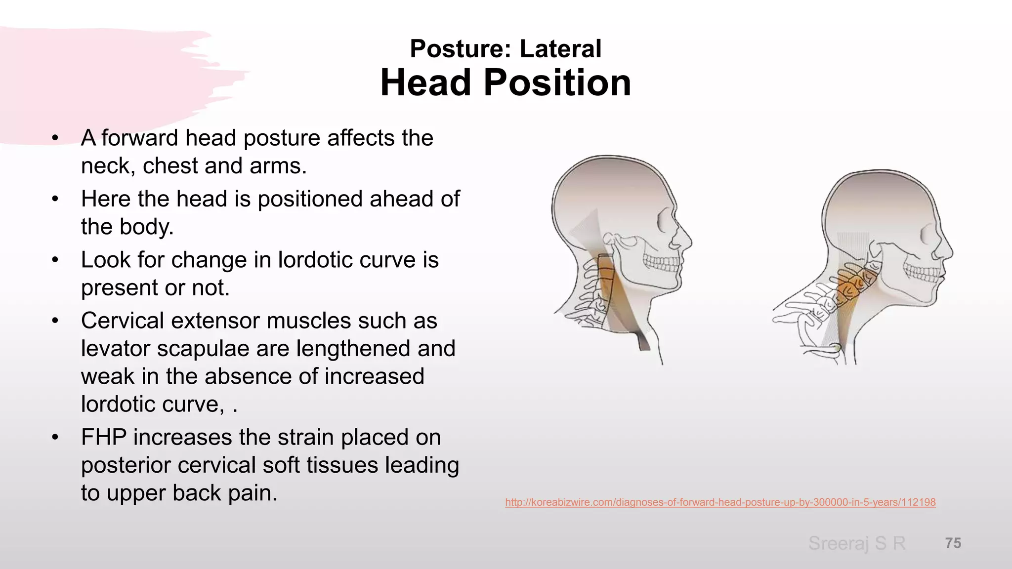 Musculoskeletal Assessment (Principles and Concepts for ...