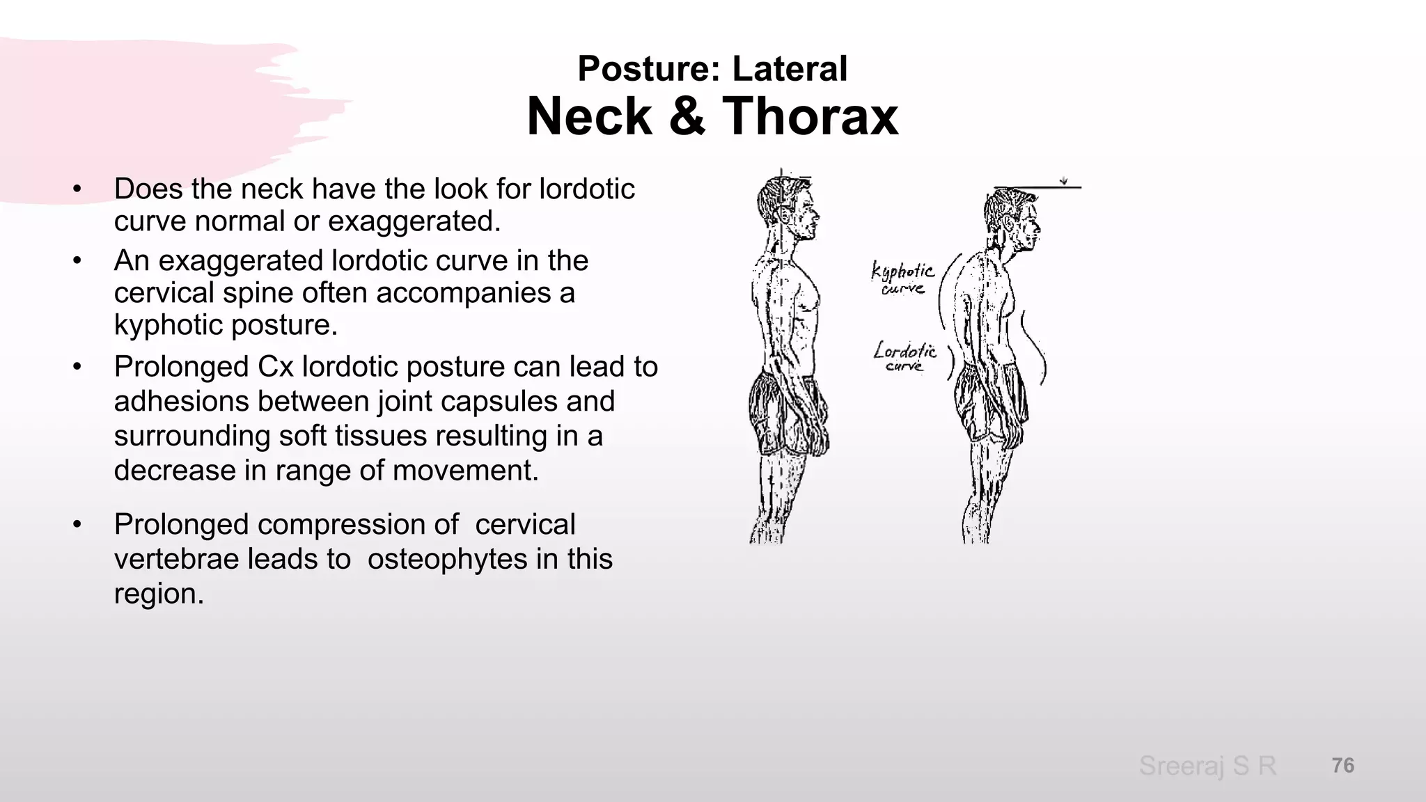 Musculoskeletal Assessment (Principles and Concepts for ...
