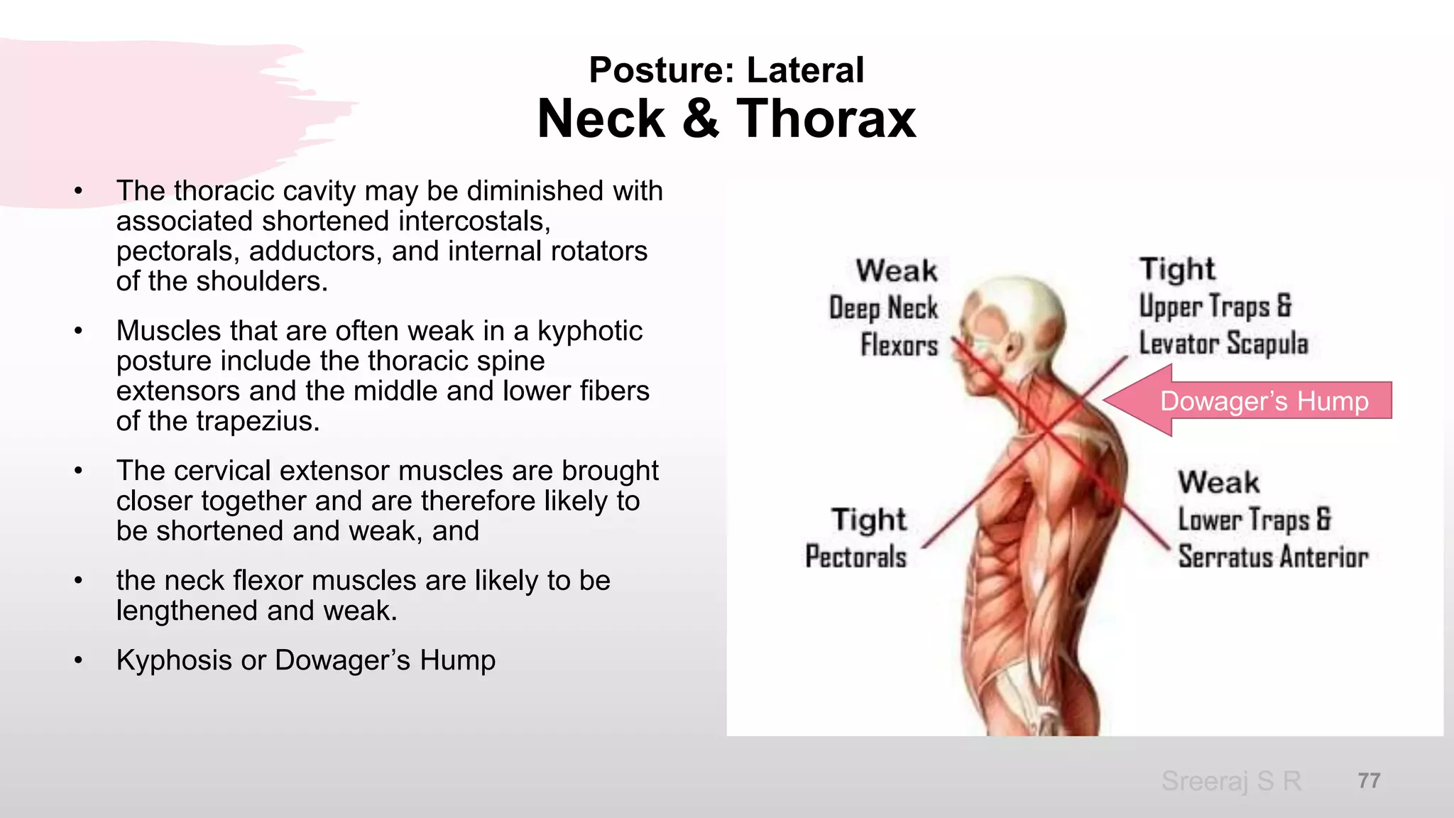 Musculoskeletal Assessment (Principles and Concepts for ...