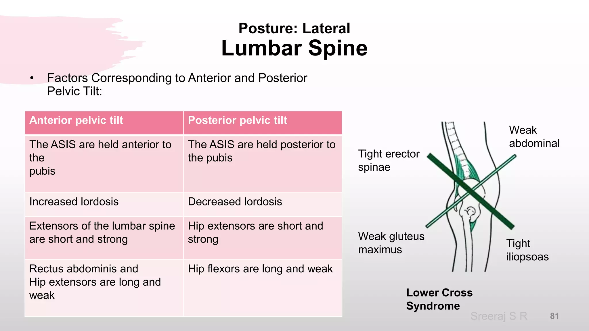 Musculoskeletal Assessment (Principles and Concepts for ...