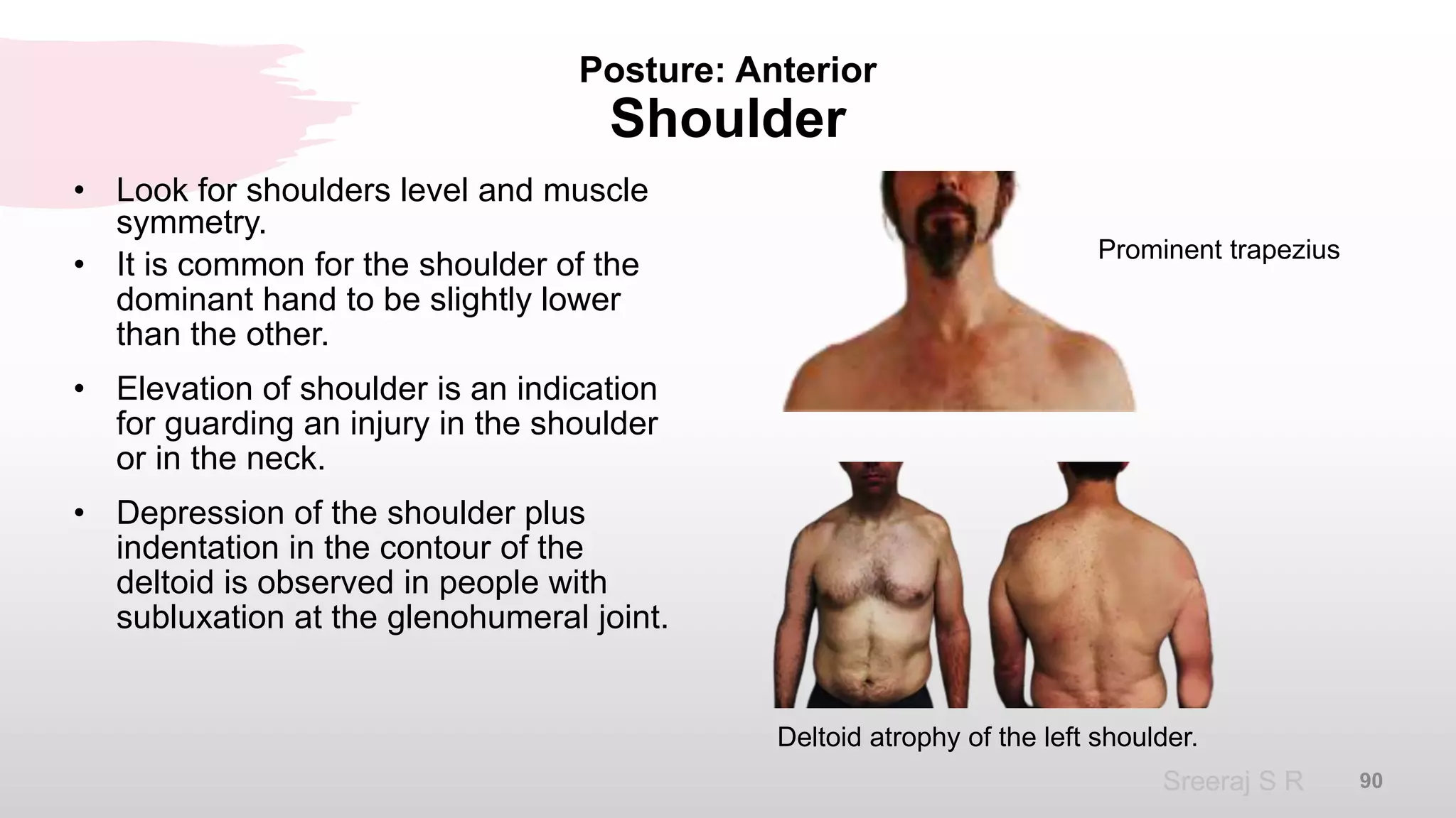 Musculoskeletal Assessment (Principles and Concepts for ...