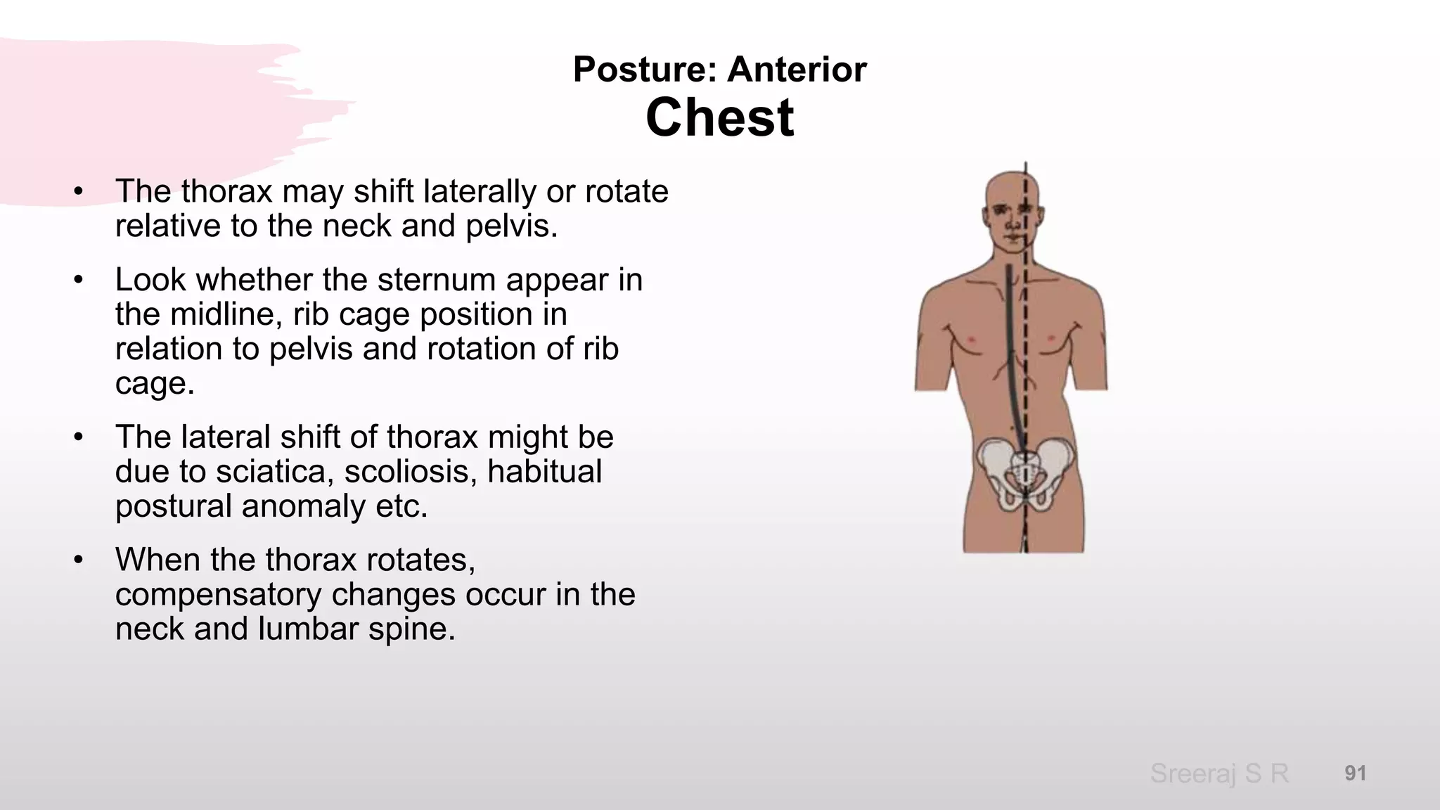 Musculoskeletal Assessment (Principles and Concepts for ...