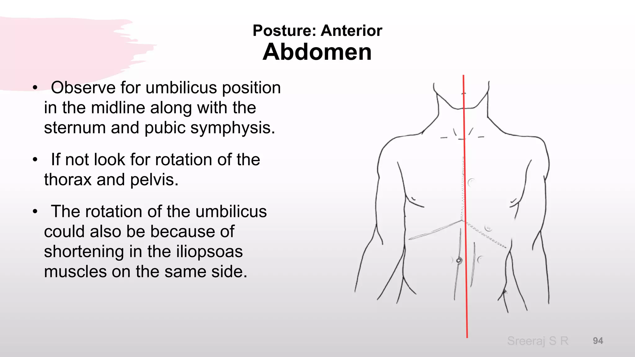 Musculoskeletal Assessment (Principles and Concepts for ...