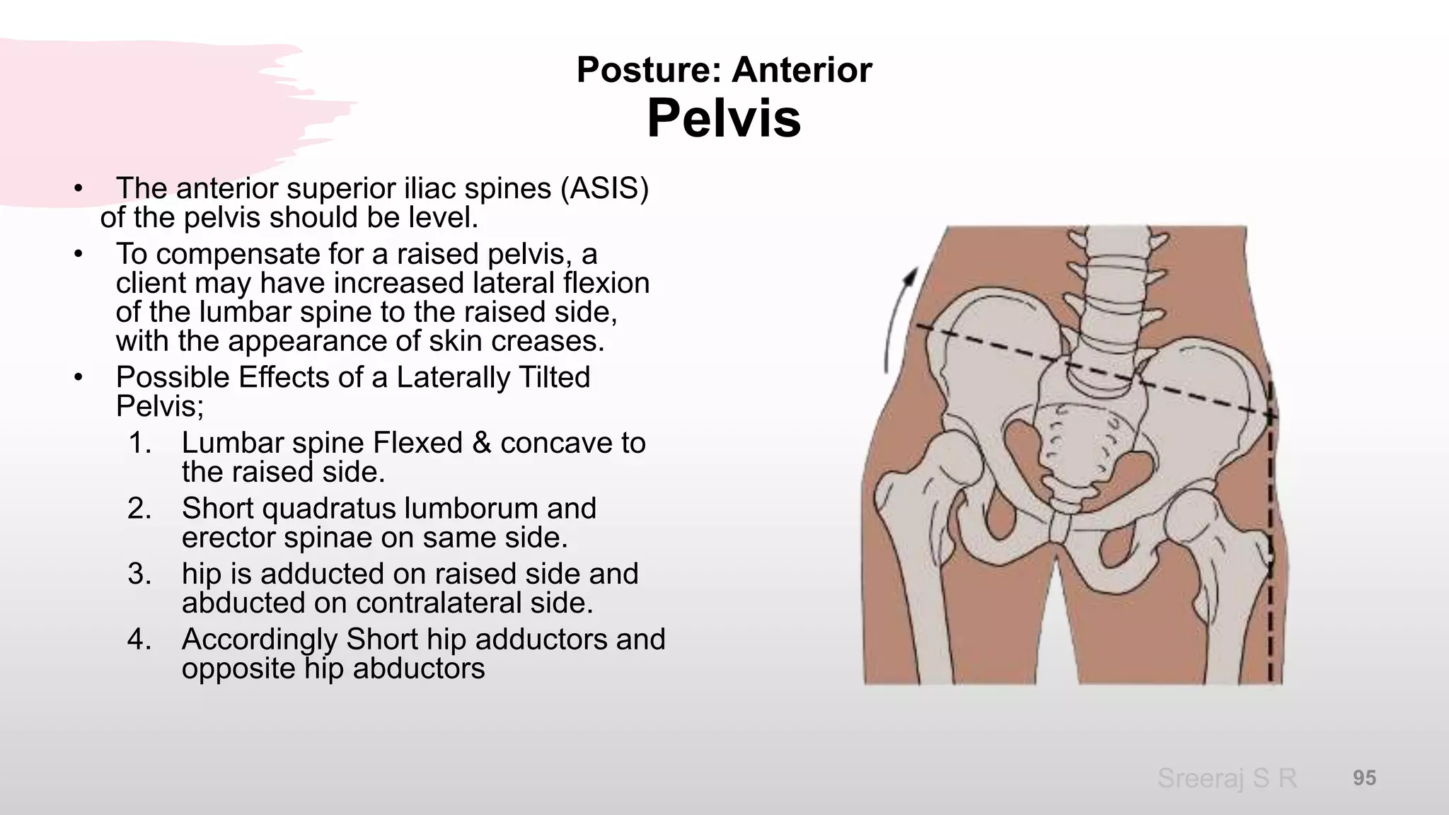 Musculoskeletal Assessment (Principles and Concepts for ...