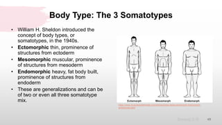 Musculoskeletal Assessment (Principles and Concepts for ...