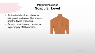 Musculoskeletal Assessment (Principles and Concepts for ...