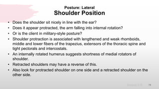 Musculoskeletal Assessment (Principles and Concepts for ...