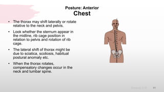 Musculoskeletal Assessment (Principles and Concepts for ...