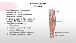 Musculoskeletal Assessment (Principles and Concepts for ...