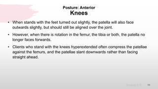 Musculoskeletal Assessment (Principles and Concepts for ...