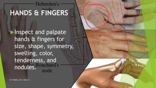 MUSCULOSKELETAL ASSESSMENT - Health Assessment | PPT