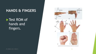 MUSCULOSKELETAL ASSESSMENT - Health Assessment | PPT