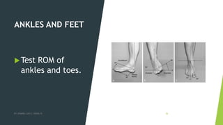 MUSCULOSKELETAL ASSESSMENT - Health Assessment | PPT