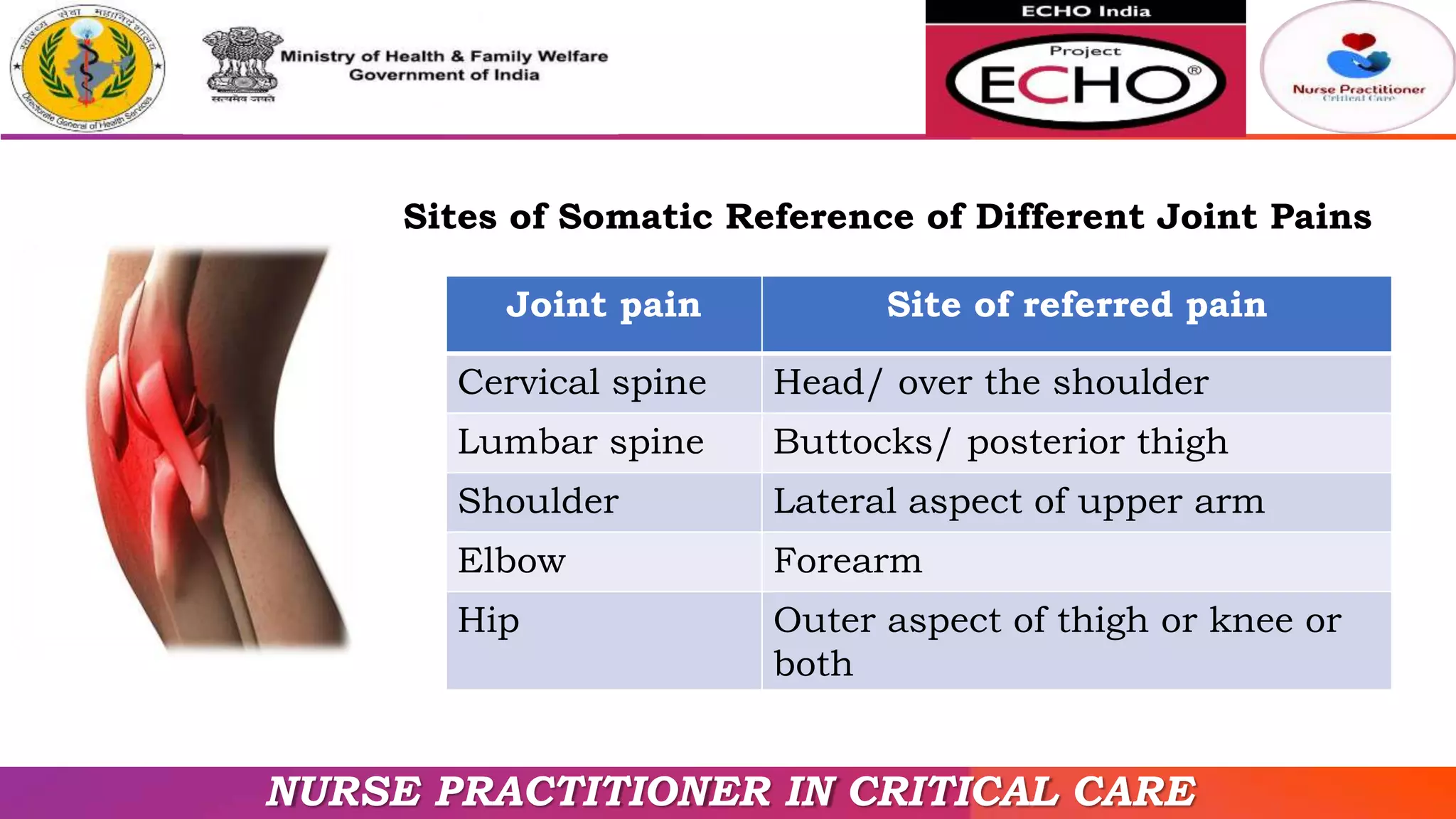 Musculoskeletal assessment ppt.pptx