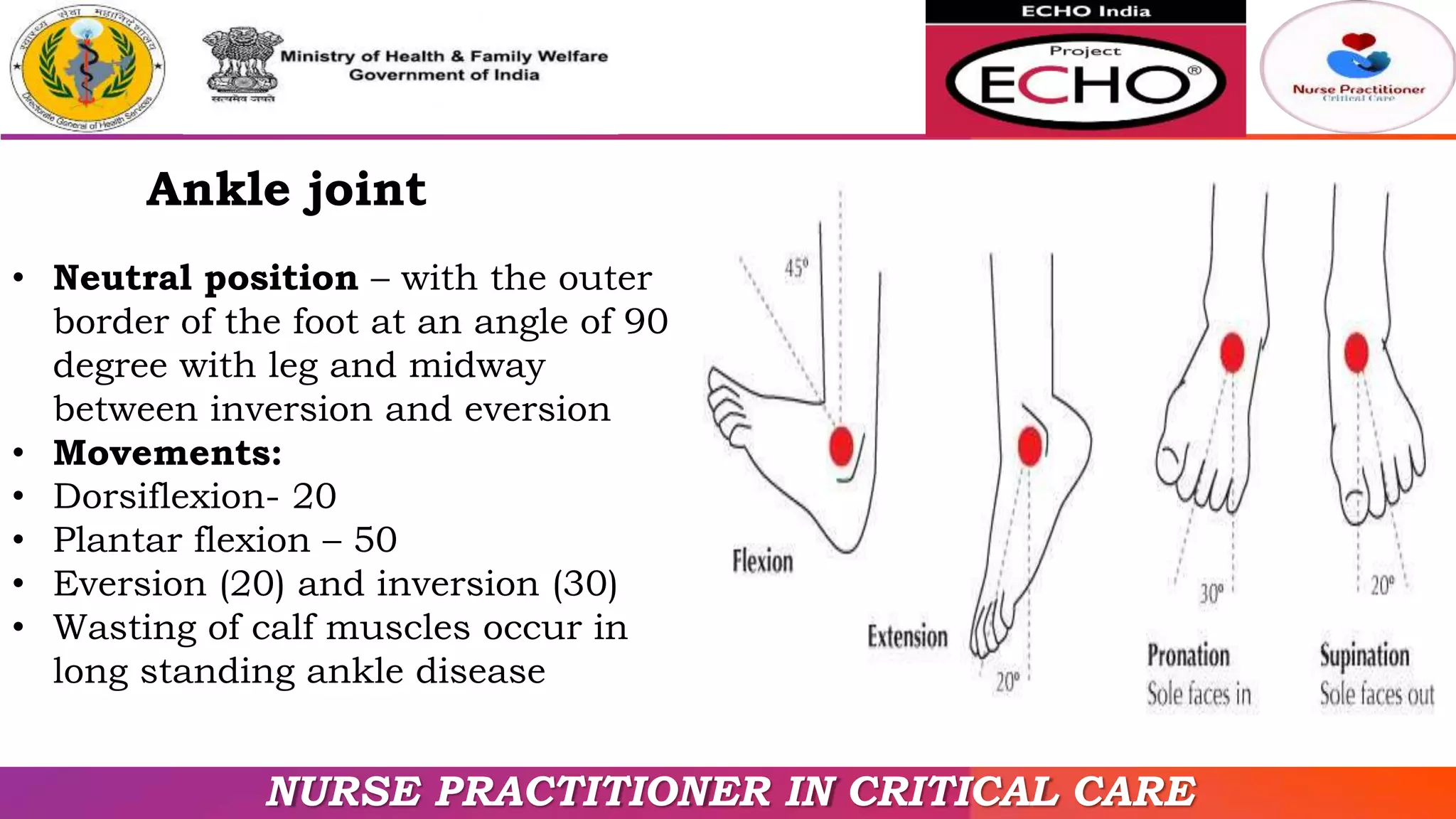 Musculoskeletal assessment ppt.pptx