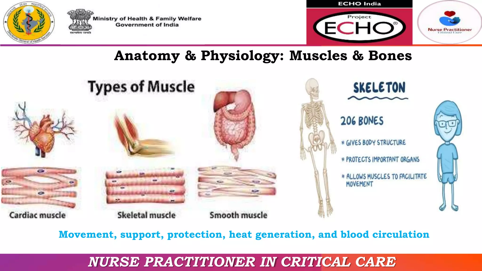 Musculoskeletal assessment ppt.pptx