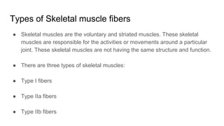 Musculoskeletal basis of movement .pptx