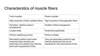 Musculoskeletal basis of movement .pptx