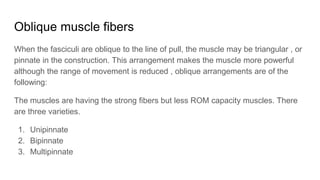 Musculoskeletal basis of movement .pptx