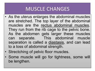Musculoskeletal changes in pregnancy | PPTX