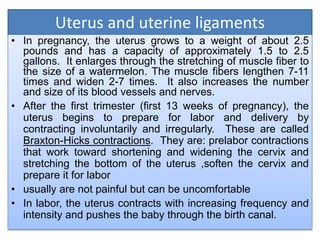 Blue Cervix During Pregnancy