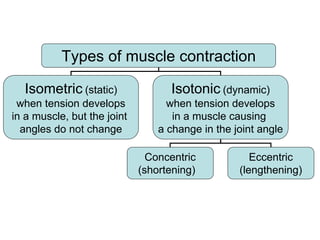 musculoskeletal considerations.pdf