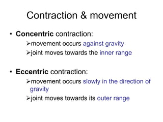 musculoskeletal considerations.pdf
