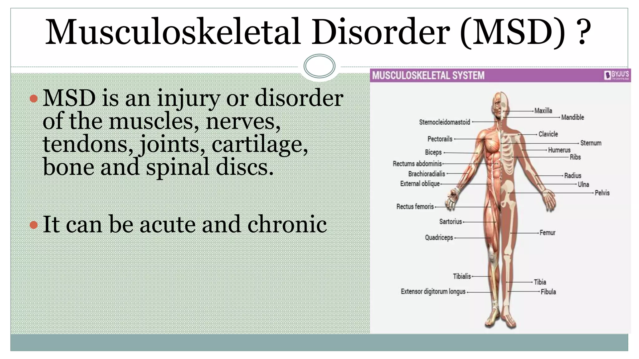 Musculoskeletal disorders | PPTX