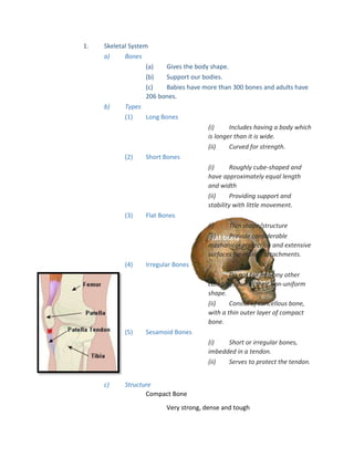 Musculoskeletal System | DOCX
