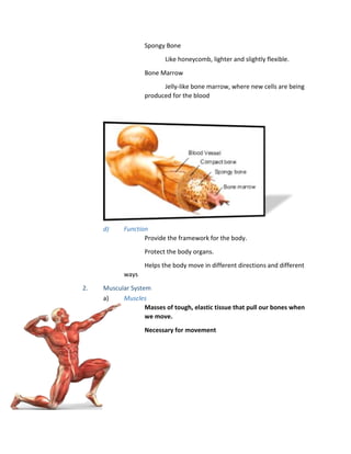 Musculoskeletal System | DOCX