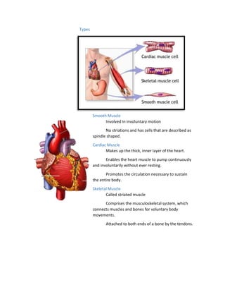 Musculoskeletal System | DOCX