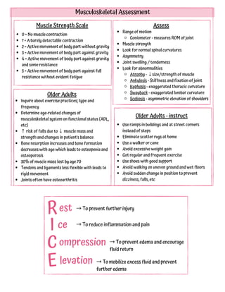 Musculoskeletal ETSY .pdf