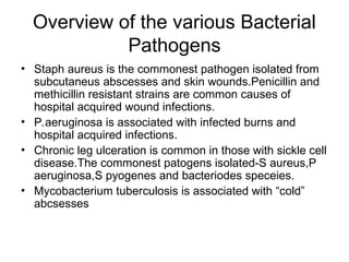 MUSCULOSKELETAL INFECTIONS for preclinical.ppt
