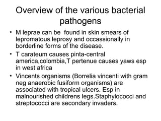 MUSCULOSKELETAL INFECTIONS for preclinical.ppt